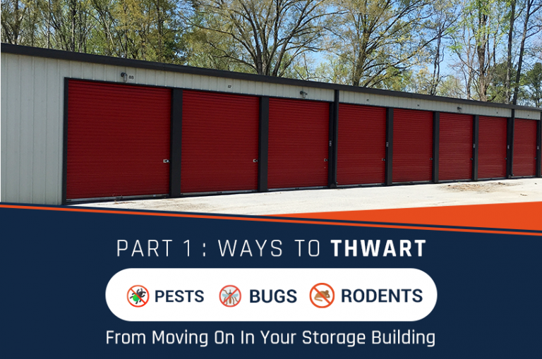 Ways To Prevent Pest Bugs & Rodents in Your Storage Buildings